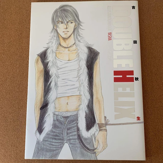 YASHA ARTBOOK AKIMI YOSHIDA Illustrations Double Helix £33.94 - PicClick UK