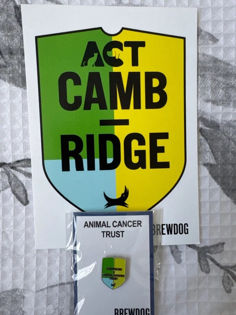 BREWDOG PIN BADGE rare Cambridge charity pin and matching postcard £1. ...