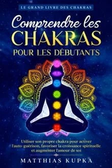 COMPRENDRE LES CHAKRAS pour les débutants - Le grand ... | Livre | état très bon EUR 13,46 ...