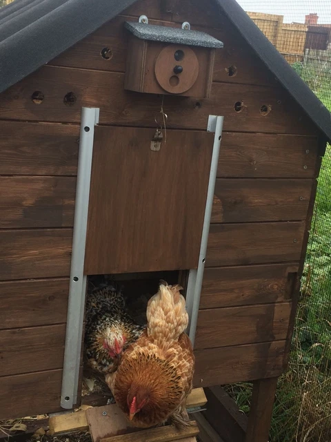 AUTOMATIC CHICKEN/HEN HOUSE Door Opener/Closer-light operated~by Flying ...