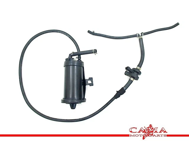 CARENAGE SUPPORT DIVERS VANNE EGR Ducati Diavel 1260 + S (2019-2022 ...