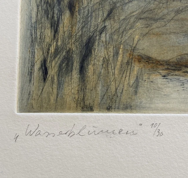 FARBRADIERUNG WASSERBLUMEN SEEROSEN sig. H. Böttcher - Polack EUR 48,00 ...