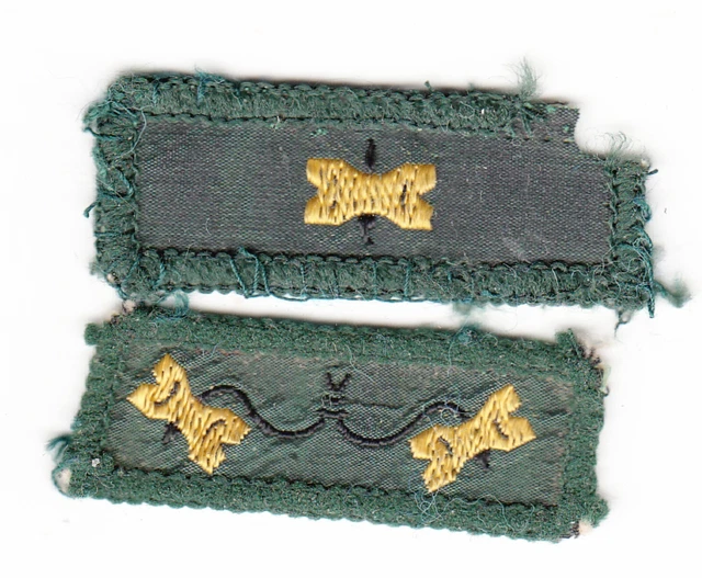 BOY SCOUT BADGES 1070'S Issue Basic Training And Woodbadge Beads (002 ...