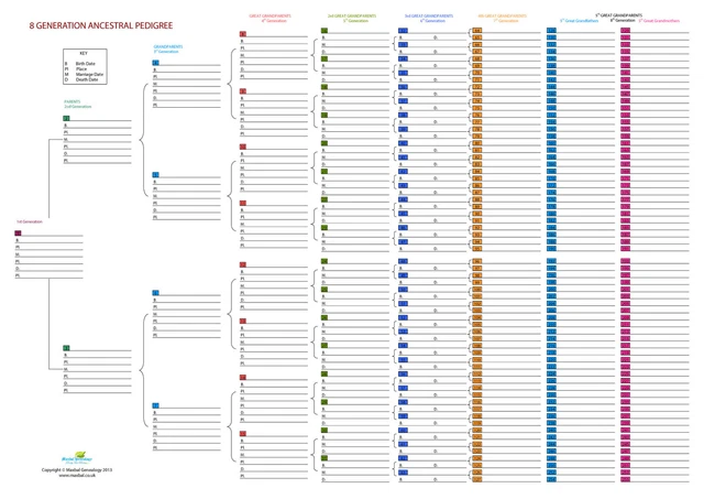 GRAFICO ALBERO GENEALOGICO - Pedigree ancestrale 8 generazioni EUR 15 ...