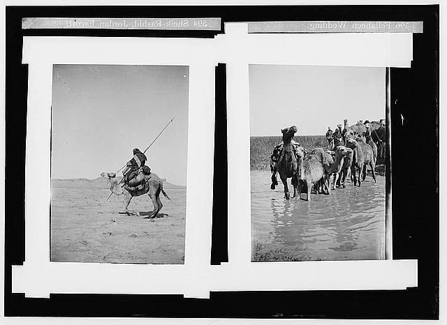 HOLY LAND CHARACTERS, etc, Bedouin warrior making his camel -- 1920s ...