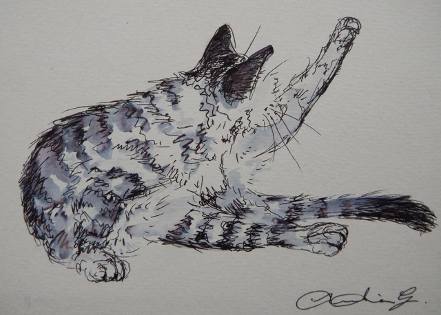 ORIGINAL SMALL PEN & ink wash drawing of a cat licking his her leg ...