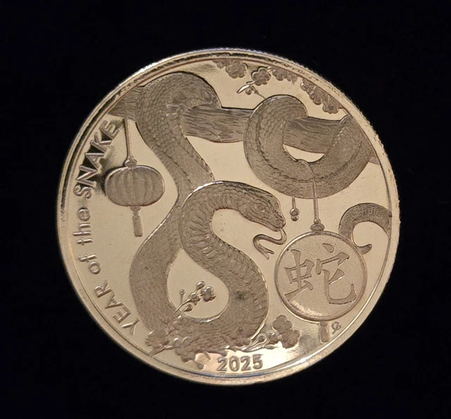1OZ 999 FINE Silver Asahi 2025 Year Of The Snake In Capsule £74.73 ...