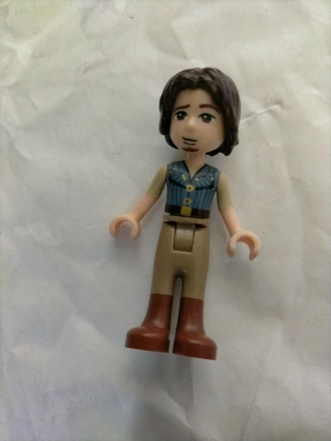 LEGO DISNEY PRINCESS Minifigure Flynn Rider dp007 Rapunzel’ prince ...