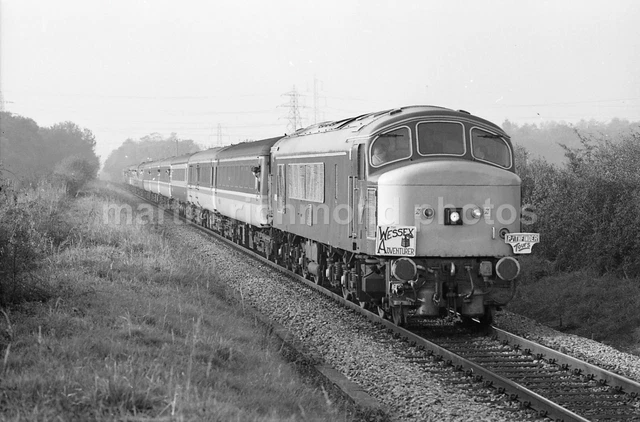 MARCHWOOD CLASS 45 45106 8.11.88 John Vaughan Negative RN251 £2.99 ...