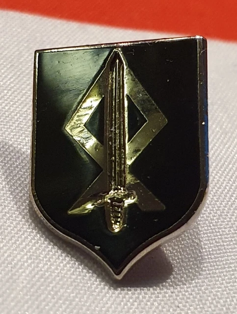 VIKING BADGE. Odal Rune Pagan Heathen Norse Nordic Odin Thor asatru oi ...