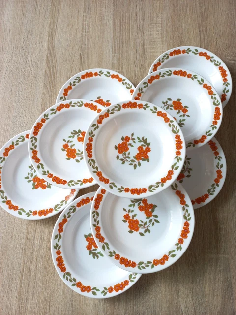 9 ASSIETTES PLATES ARCOPAL vintage EUR 45,00 - PicClick FR