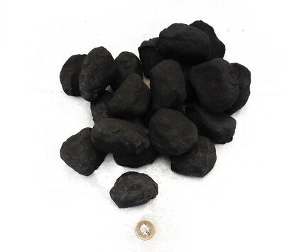 30 RANDOM CAST Gas fire coals replacement gas fire coal for gas fire ...