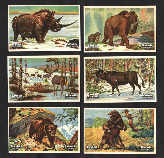ICE AGE PREHISTORIC Animals Erdal German Card Set 1928 Mammoth Bear ...
