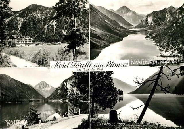 73036330 PLANSEE HOTEL Forelle Heiterwangersee Thaneller Plansee EUR 4 ...