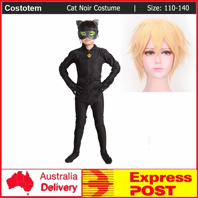 CAT NOIR COSPLAY Costume for Kids Fancy Dress Up Party Halloween ...