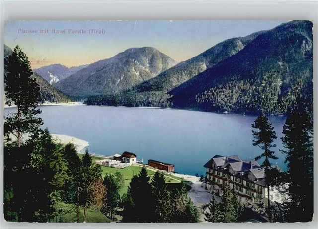 10023324 - REUTTE Plansee Hotel Forelle Reutte Bezirk EUR 6,49 ...