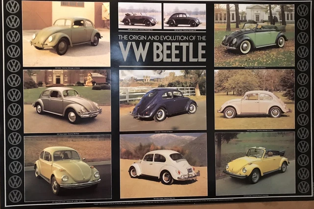 VW-BEETLE-1938-1979 ORIGIN & Evolution Of The VW Beetle Rare Version ...