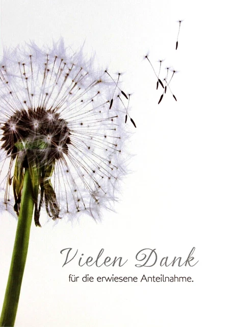 DANKSAGUNG TRAUER KARTE Danke Trauerkarte Dankeskarten Pusteblume ... DANKSAGUNG TRAUER KARTE Danke Trauerkarte Dankeskarten Pusteblume ...