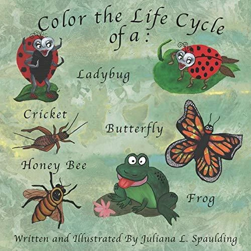 COLOR THE LIFE Cycle of a Ladybug, Cricket, Butterfly, - Paperback NEW ...
