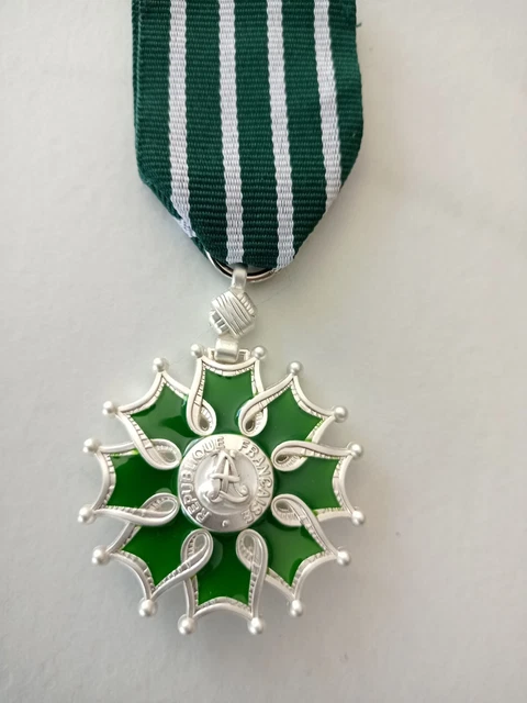 MÉDAILLE DANS L'ORDRE de Arts et des Lettres (Grade Chevalier) EUR 50 ...