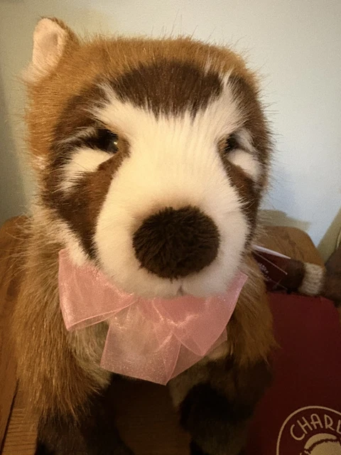CHARLIE BEARS PERTH Coatimundi Bearhouse Collection with Tags & Bag 15 ...