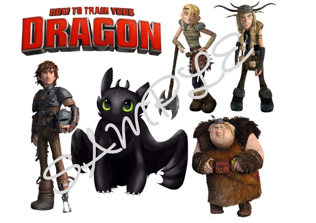 HOW TO TRAIN Your Dragon Edible Icing Sheet A4 Cake Toppers incl ...