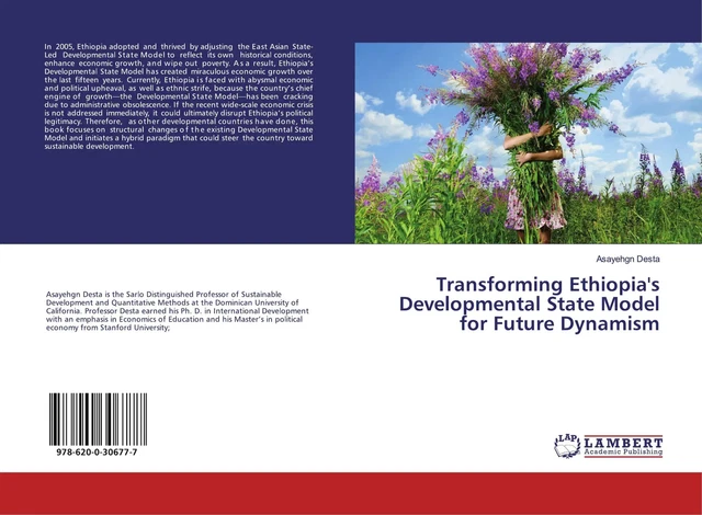 TRANSFORMING ETHIOPIA'S DEVELOPMENTAL State Model for Future Dynamism ...
