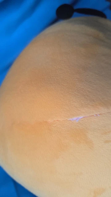 BATTLE FOR DREAM Island (BFDI) Fiery plush - official Jacknjellify ...