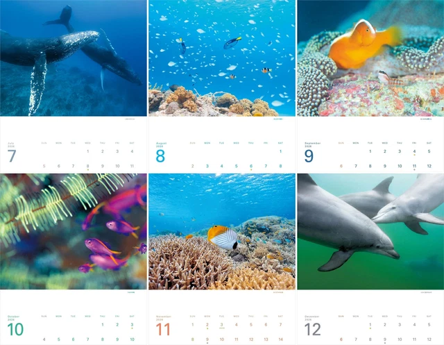 CALENDRIER 2026 : La Mer Du Bonheur - La Mer La Plus Belle Du Monde EUR ...