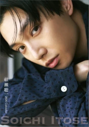 HAGOROMO DESKTOP CALENDAR by Soichi Ito 2026 CL26-0322 $89.42 - PicClick CA