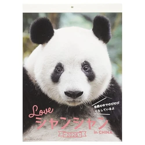 CALENDARIO DA PARETE Panda Xiang Xiang 2026 C-1740-PA EUR 30,32 ...
