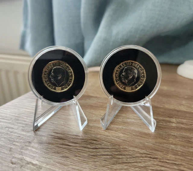 2025 £1 ONE Pound Coin Bees and 2023 Bee one pound coin pair £16.08 ...