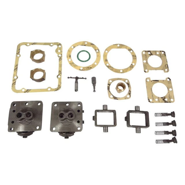 HYDRAULIC PUMP REPAIR Kit & Valve Chambers for Ferguson TE20 TEA20 ...
