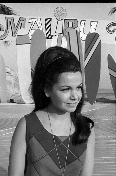 ANNETTE FUNICELLO MALIBU U 1967 OLD TV PHOTO 5 EUR 6,61 - PicClick FR