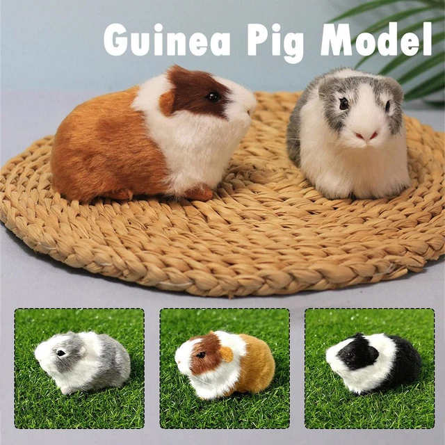 HOT CUTE BLACK Guinea Pig Creatures Plush Toy Stuffed Animal Doll Soft ...