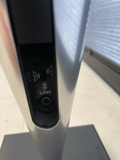BANG & OLUFSEN 2.0 Channel Standing Speaker Pair, Wired Line-In, Black ...