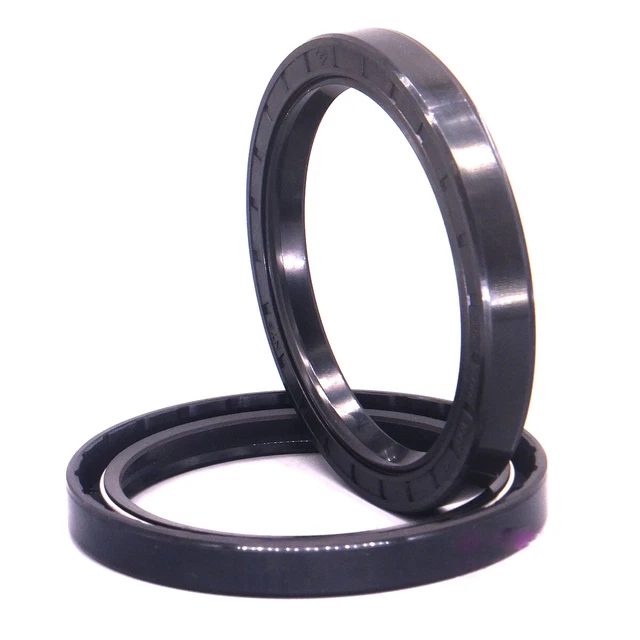 TC/FB SKELETON OIL Seal Rings Nbr Double Lip Sealing For Shaft Rotation ...