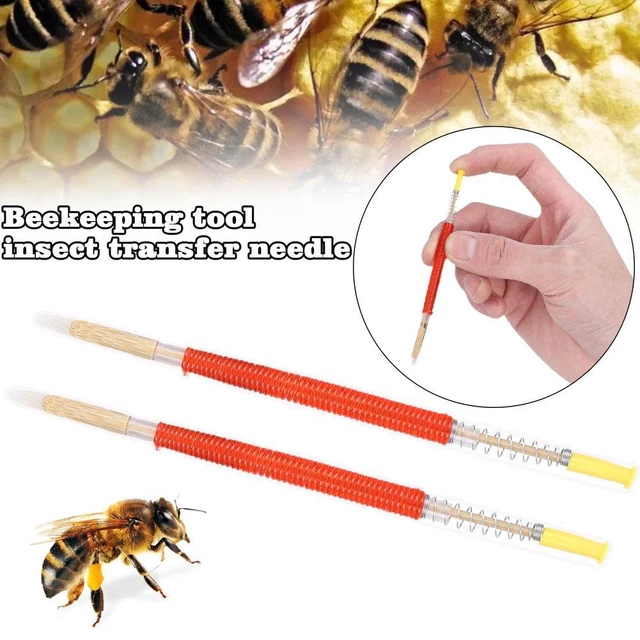 10PCS BEEKEEPING LARVAE Grafting Needle Bee Rearing Tool For Apiculture ...