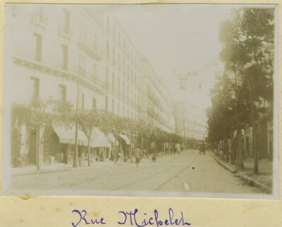 ALGER. RUE MICHELET. Algérie. Algeria. Tirage citrate circa 1902-04 ...