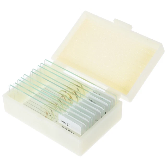 10PCS PREPARED MICROSCOPE Slides Kids Microscope Slides Microbiology ...