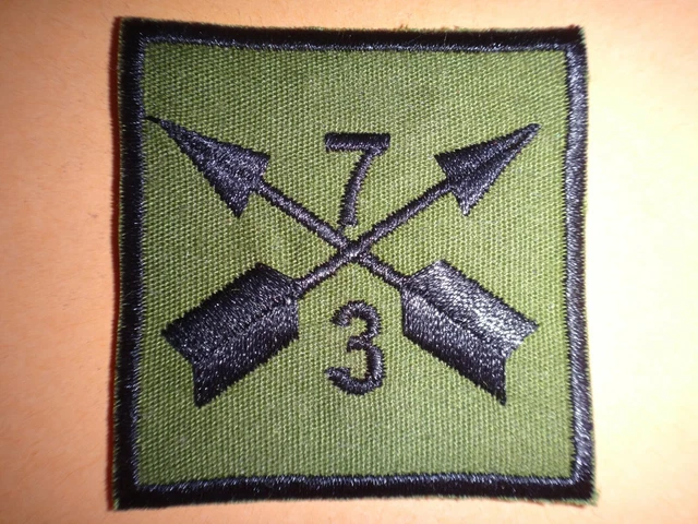 VIETNAM WAR US Army 3rd Battalion 7th SPECIAL FORCES GROUP Subdued ...