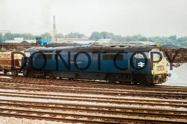 UK DIESEL TRAIN Railway Photograph Of Class 52 Western D1072. Rm52-181 ...