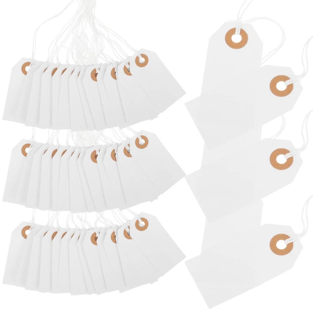 100 PCS HOLE Hang Card Clothing Tag Labels Jewelry Tags for Selling $23 ...