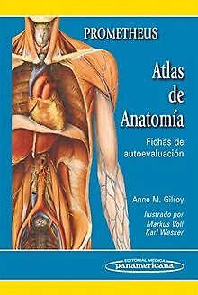 PROMETHEUS ATLAS DE anatomia / Anatomy Flash Cards-Anato... | Buch ...