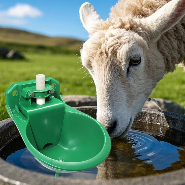 GOAT WATER TROUGH Horse Waterer Fountain Drinker Container 500ml Tank ...