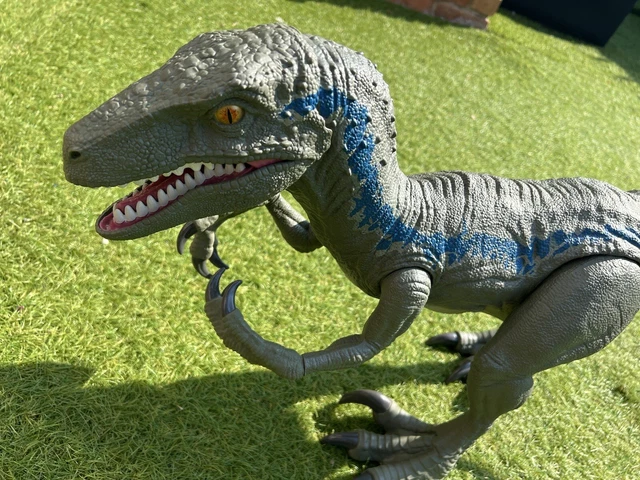 JURASSIC WORLD DINOSAUR Super Colossal Velociraptor Blue Figure Large £ ...