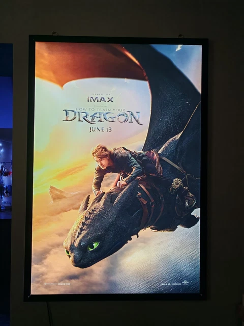 HOW TO TRAIN Your Dragon (2025) - Original d/s Cinema US One sheet ...