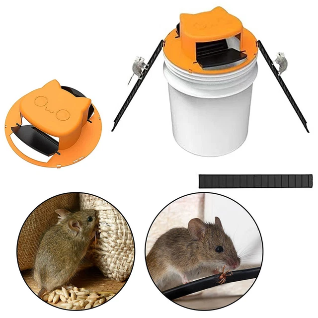 CONTROL RAT CATCHING Creative Rat Trap Mouse Trap Mouse Bucket Traps ...
