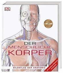 DER MENSCHLICHE KÖRPER: Bildatlas der Anatomie. Mit i... | Livre | état très bon EUR 20,46 ...