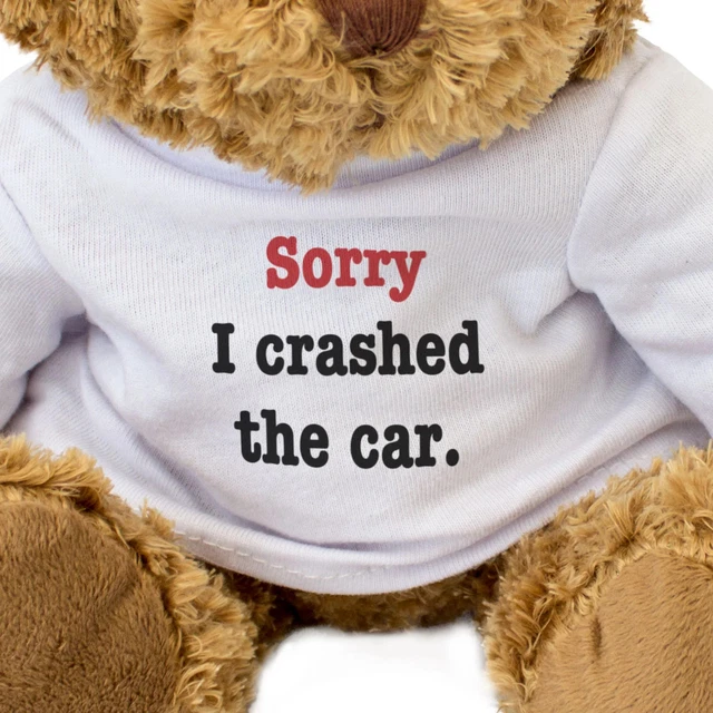 SORRY I CRASHED THE CAR - Teddy Bear - Cute - Apology Gift Present £19. ...